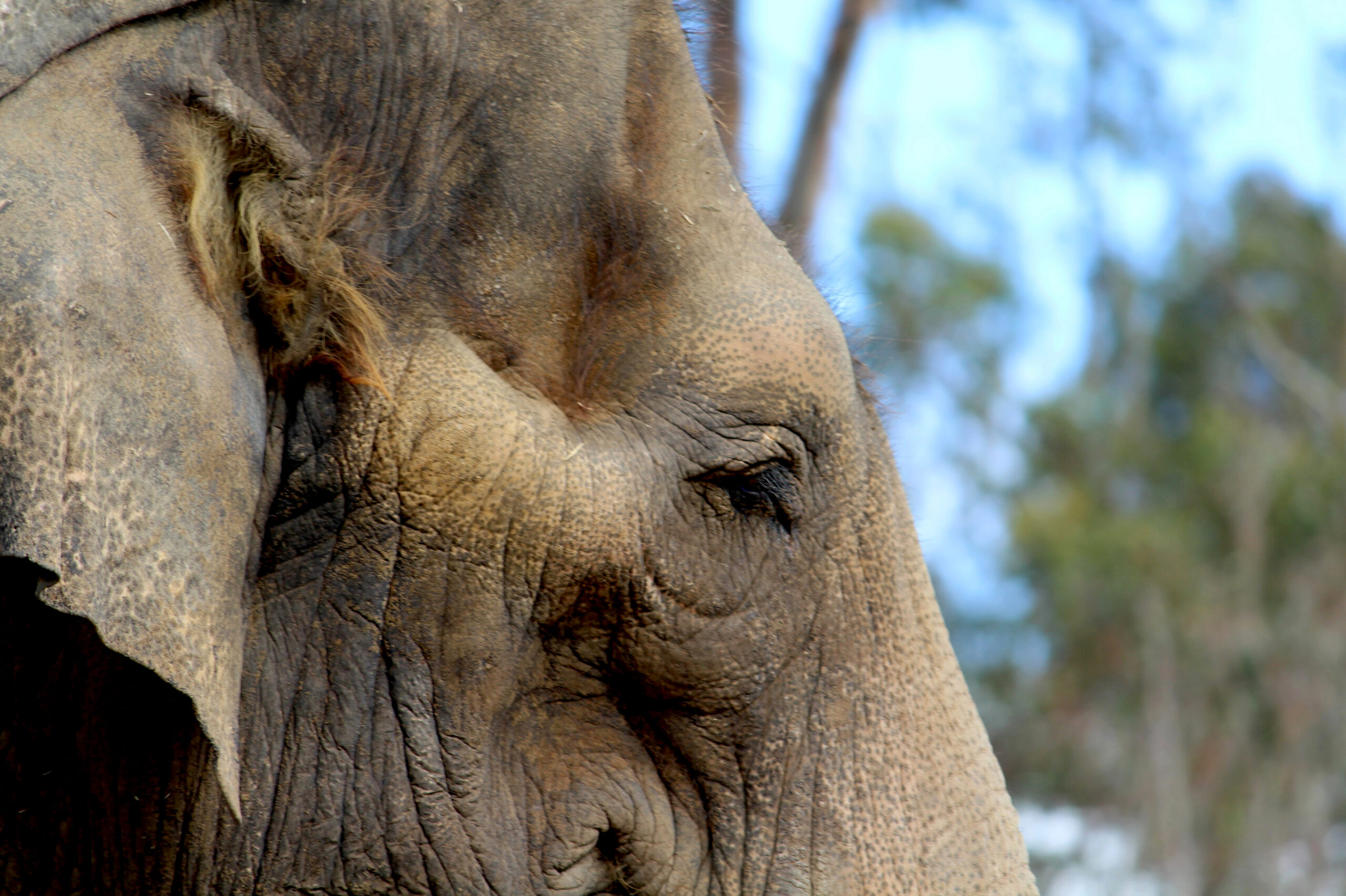 Design Portfolio - TYDESIGN Graphic Design