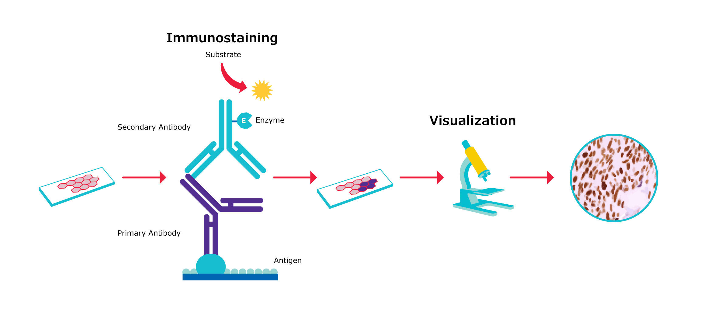 Design Portfolio - TYDESIGN Graphic Design Studio